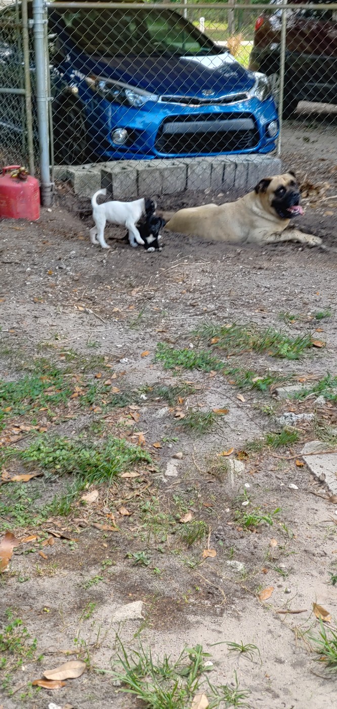 Rent Outdoor Temporary stow space in Orlando, FL | STOW IT